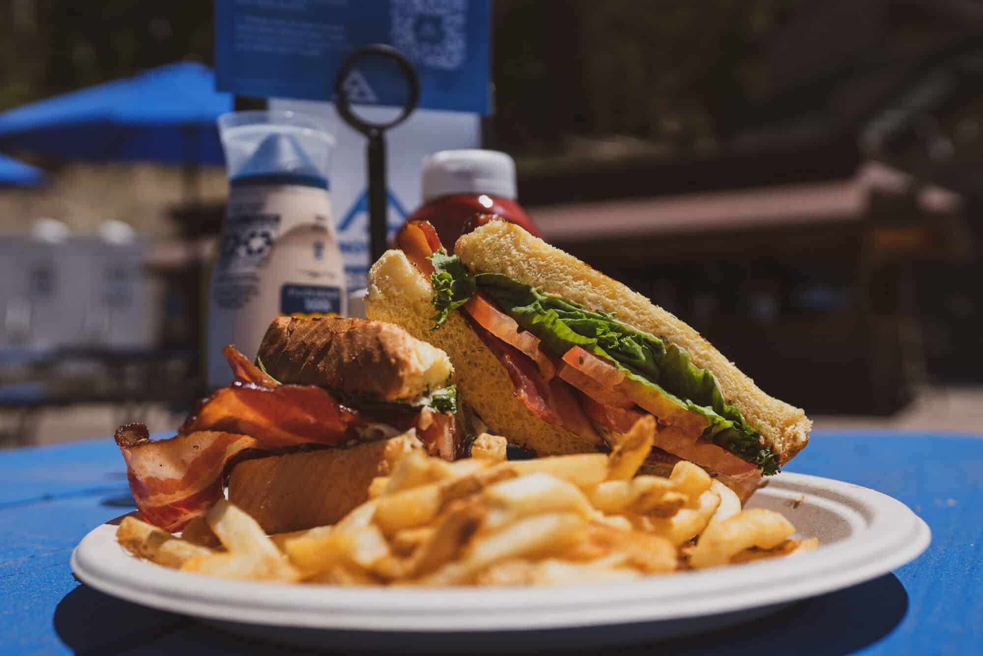 Planning Your Trip to Snowbowl - Arizona Snowbowl