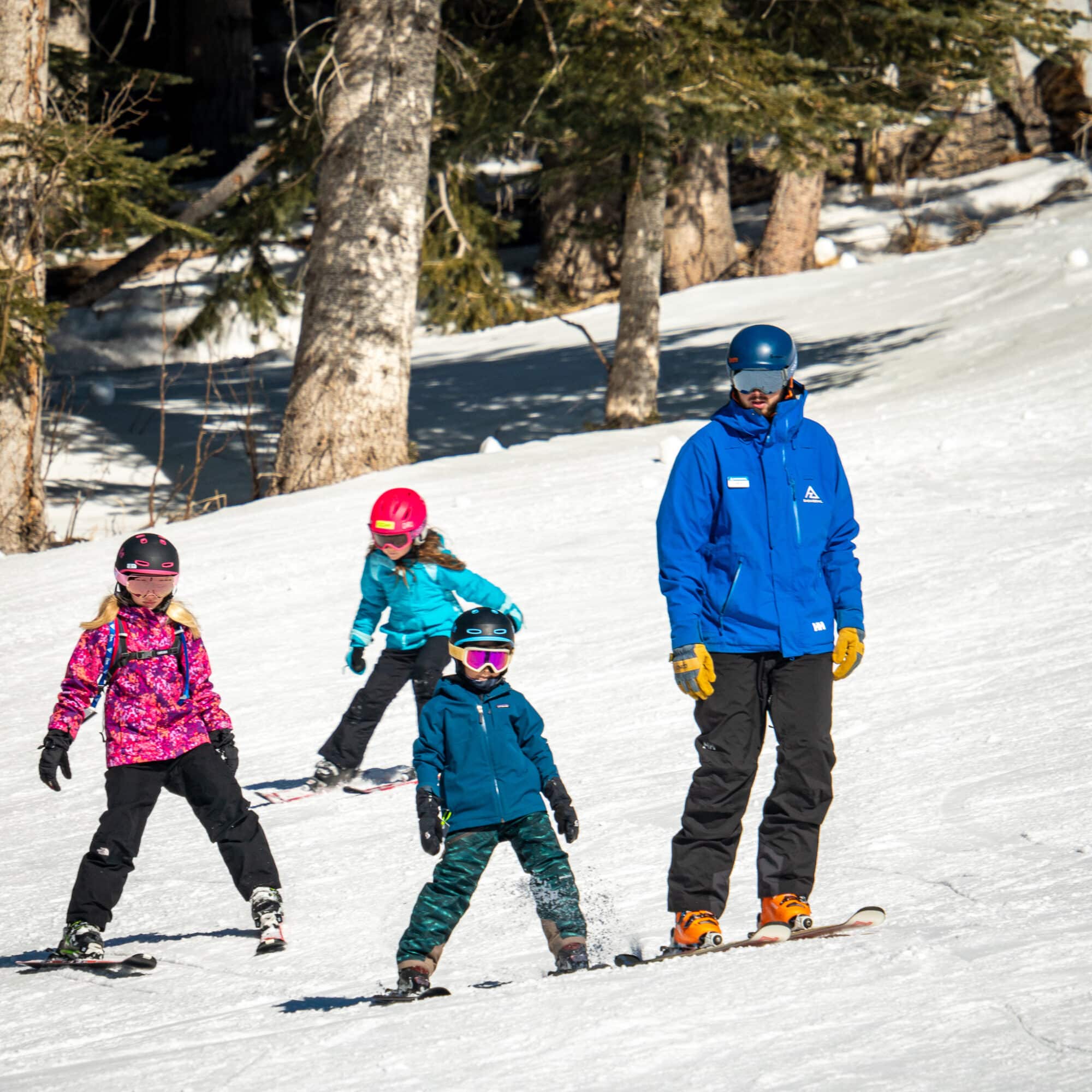 Children's Lessons - Arizona Snowbowl