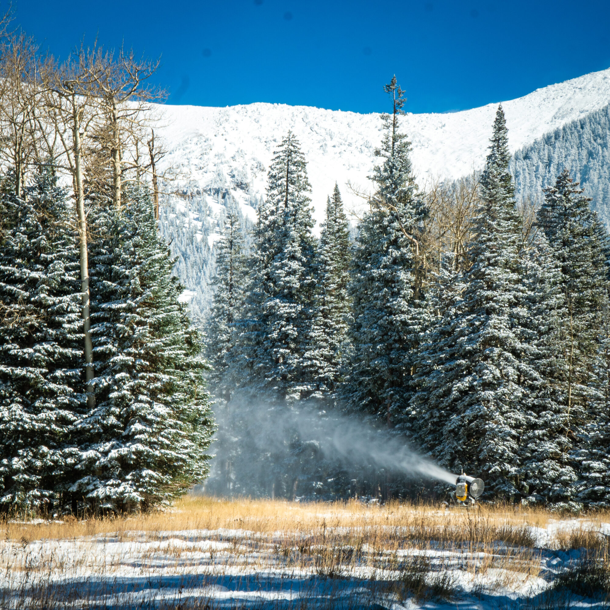 Snowmaking is in Full Swing! - Arizona Snowbowl