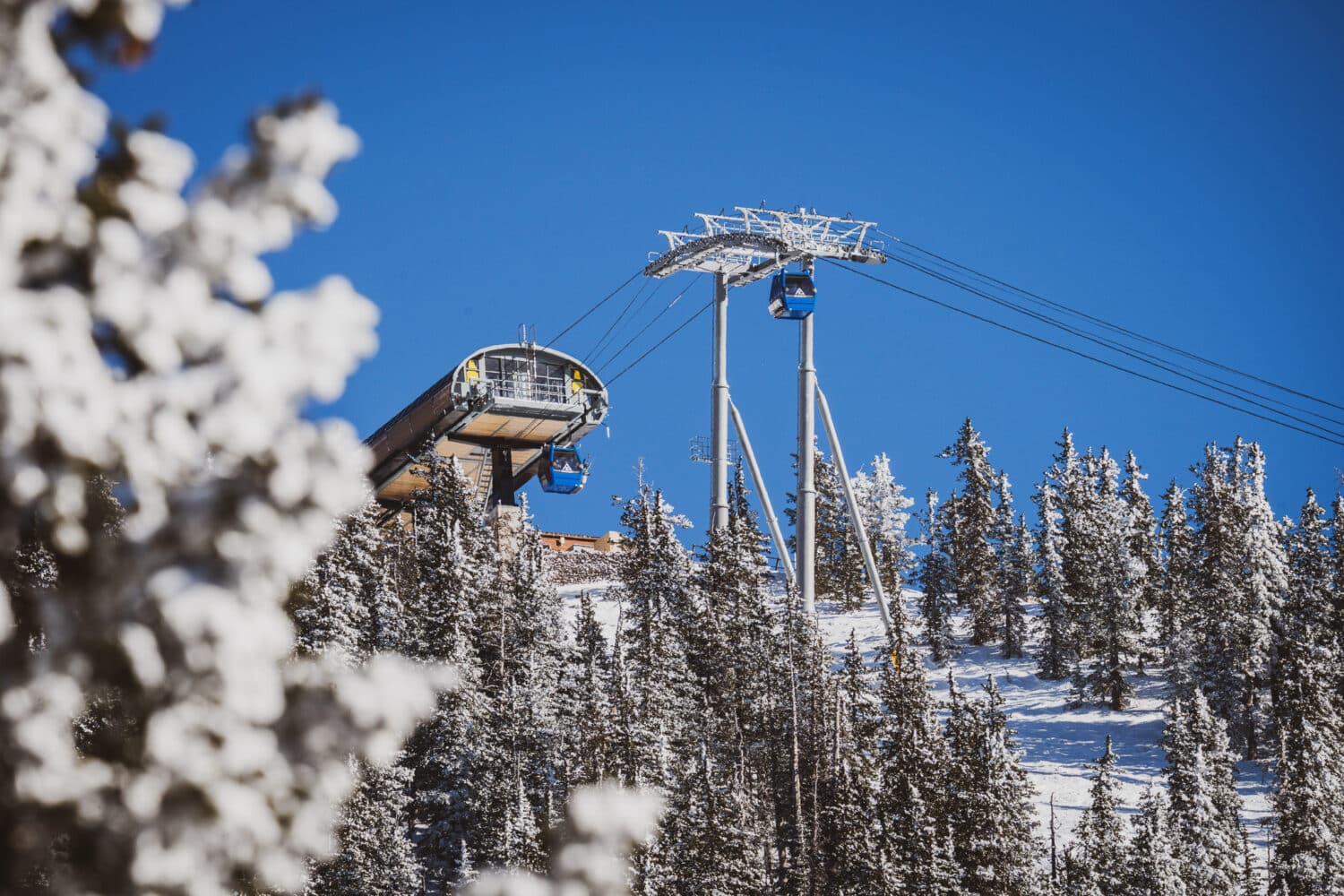 Over 200" of Snowfall this Season - Arizona Snowbowl