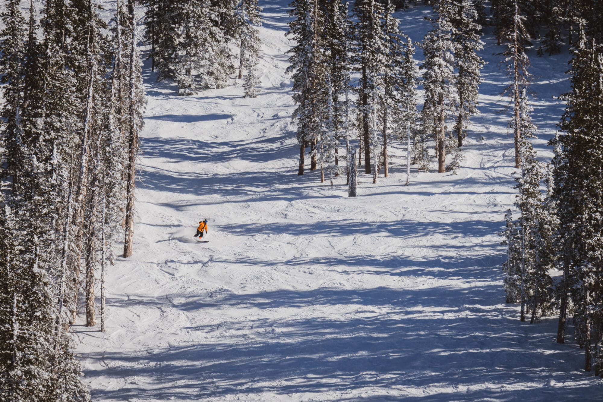 Over 200" of Snowfall this Season - Arizona Snowbowl