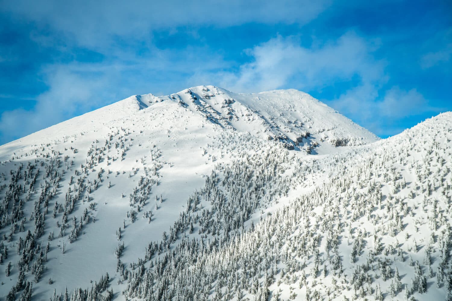Longest Winter Season EVER! - Arizona Snowbowl