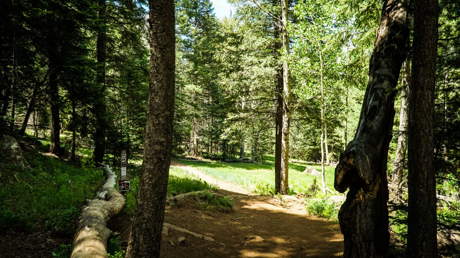 Hiking - Arizona Snowbowl