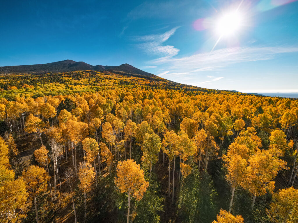 Hiking - Arizona Snowbowl