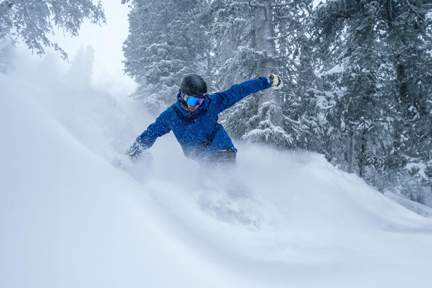 Season Pass Portal - Arizona Snowbowl