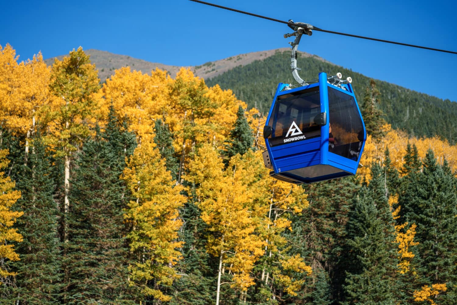 Experience the Beauty of Fall at Snowbowl! - Arizona Snowbowl