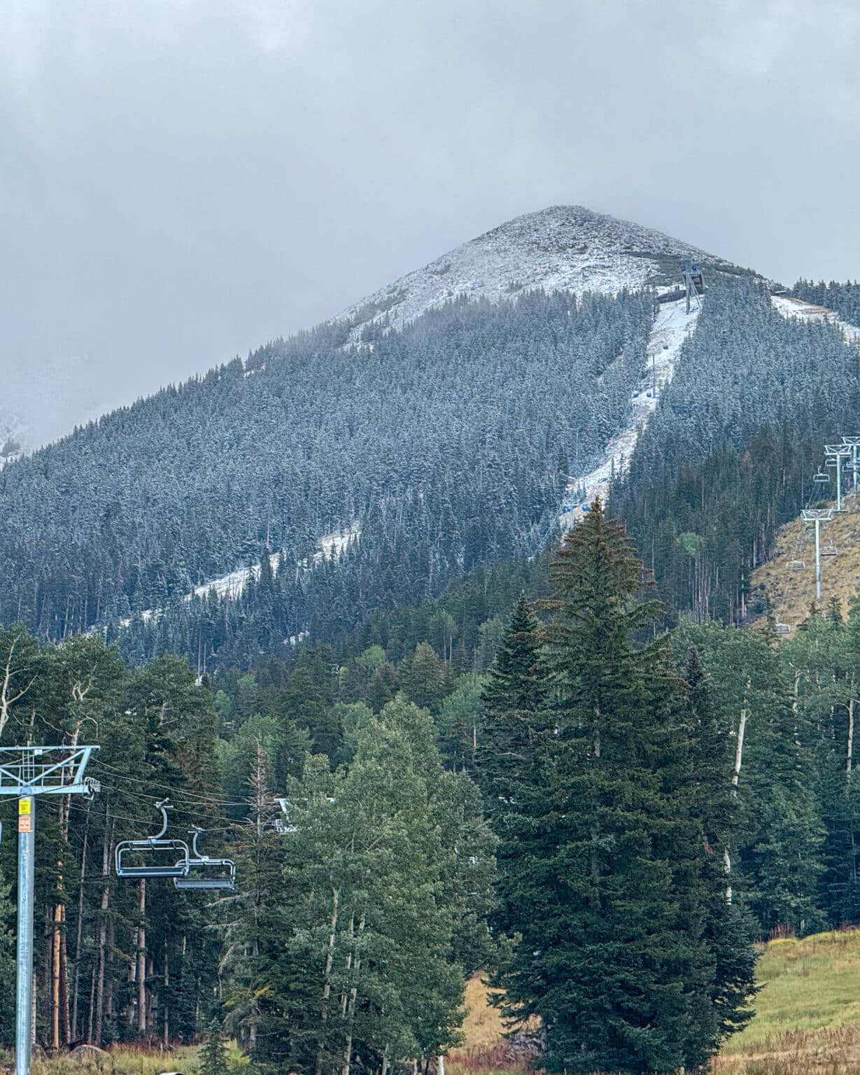 First Snowfall of the 2024/2025 Winter Season! - Arizona Snowbowl
