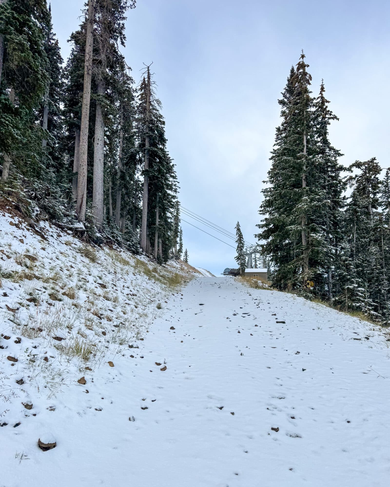 First Snowfall of the 2024/2025 Winter Season! - Arizona Snowbowl