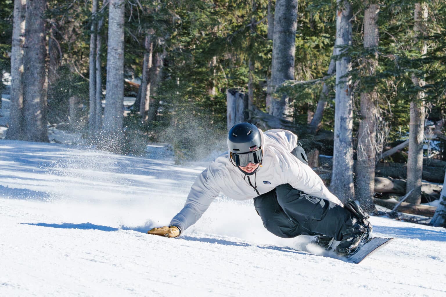 New Snowbowl Passholder Benefits for the 2024/2025 Season - Arizona ...