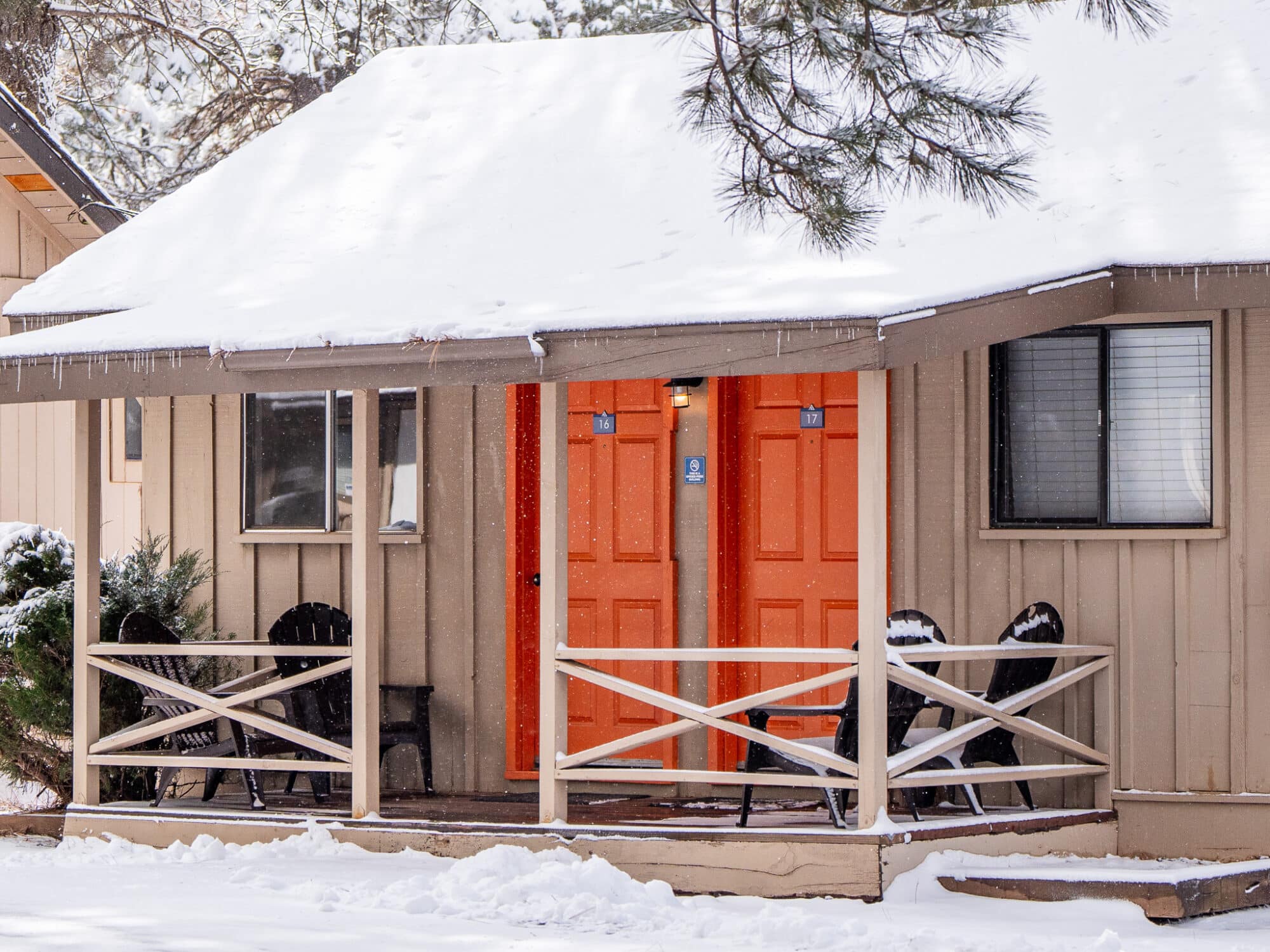 Specials - Arizona Snowbowl