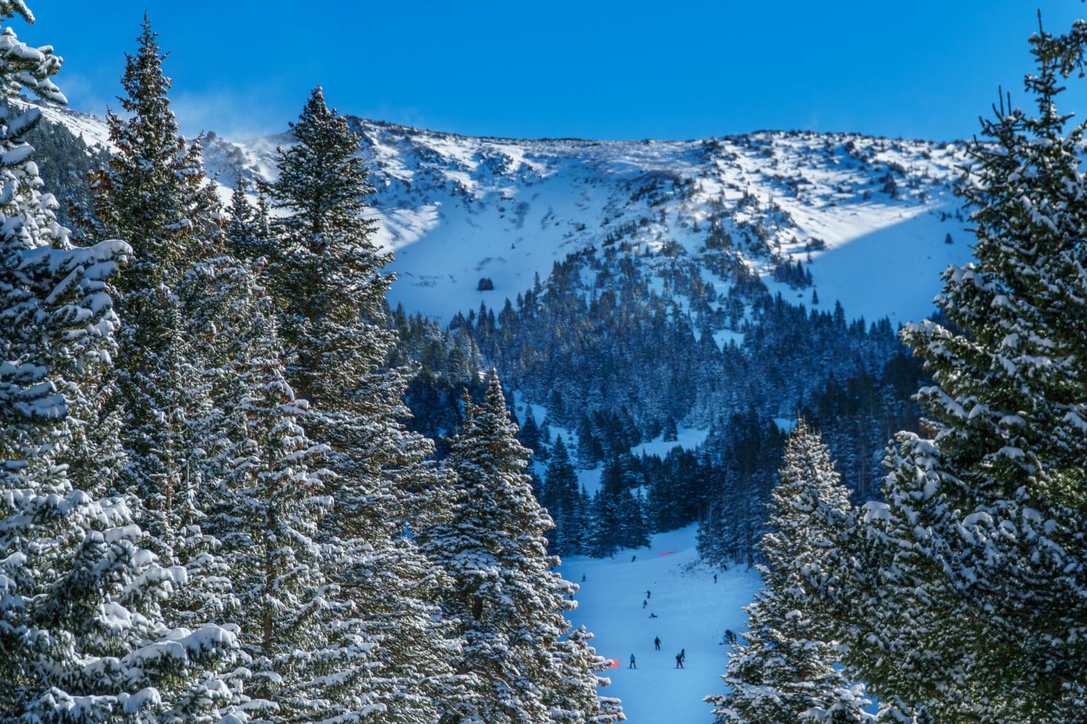 This February at Snowbowl! - Arizona Snowbowl