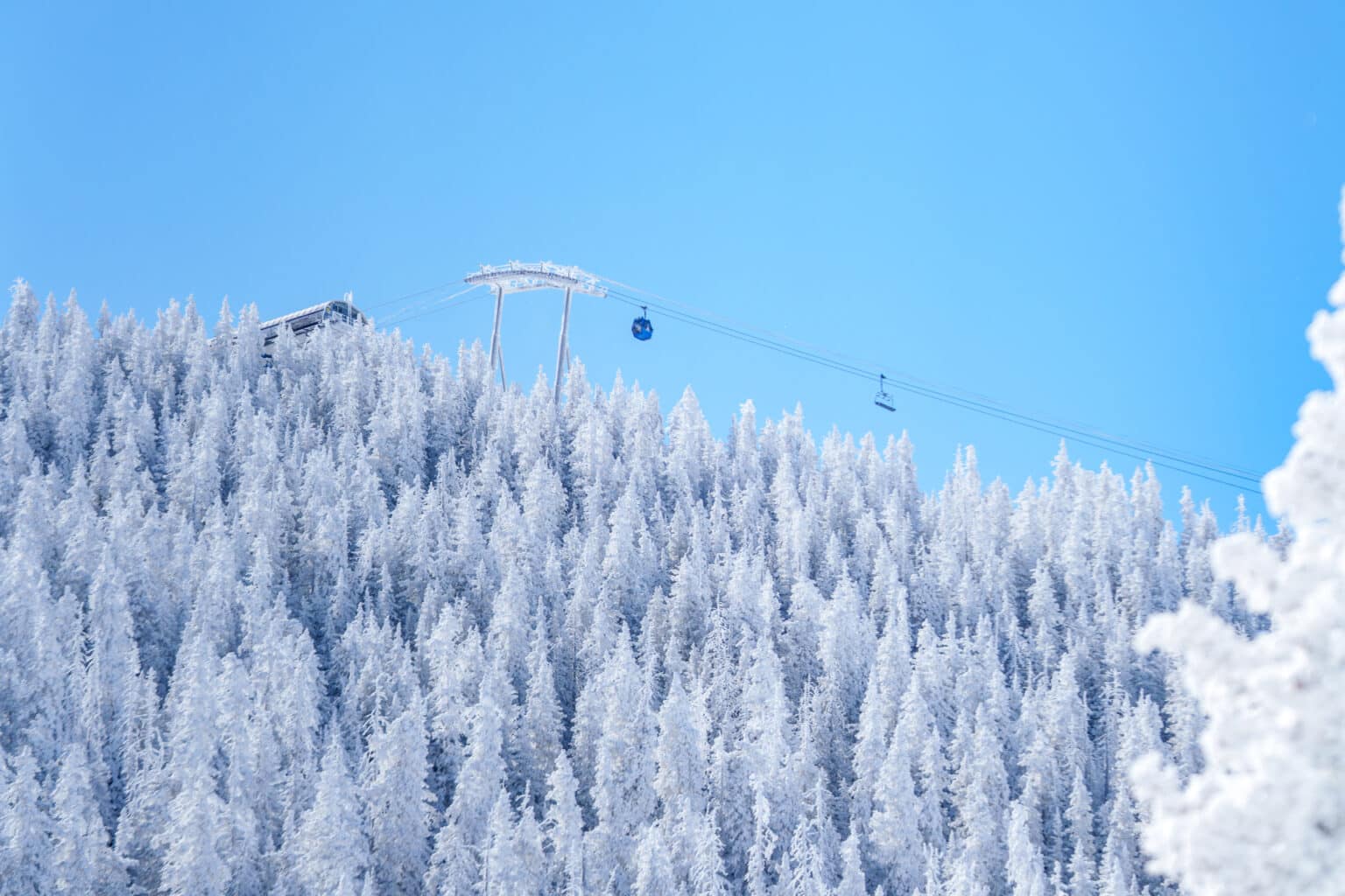 Arizona Snowbowl Ski Resort - Where Arizona Skis